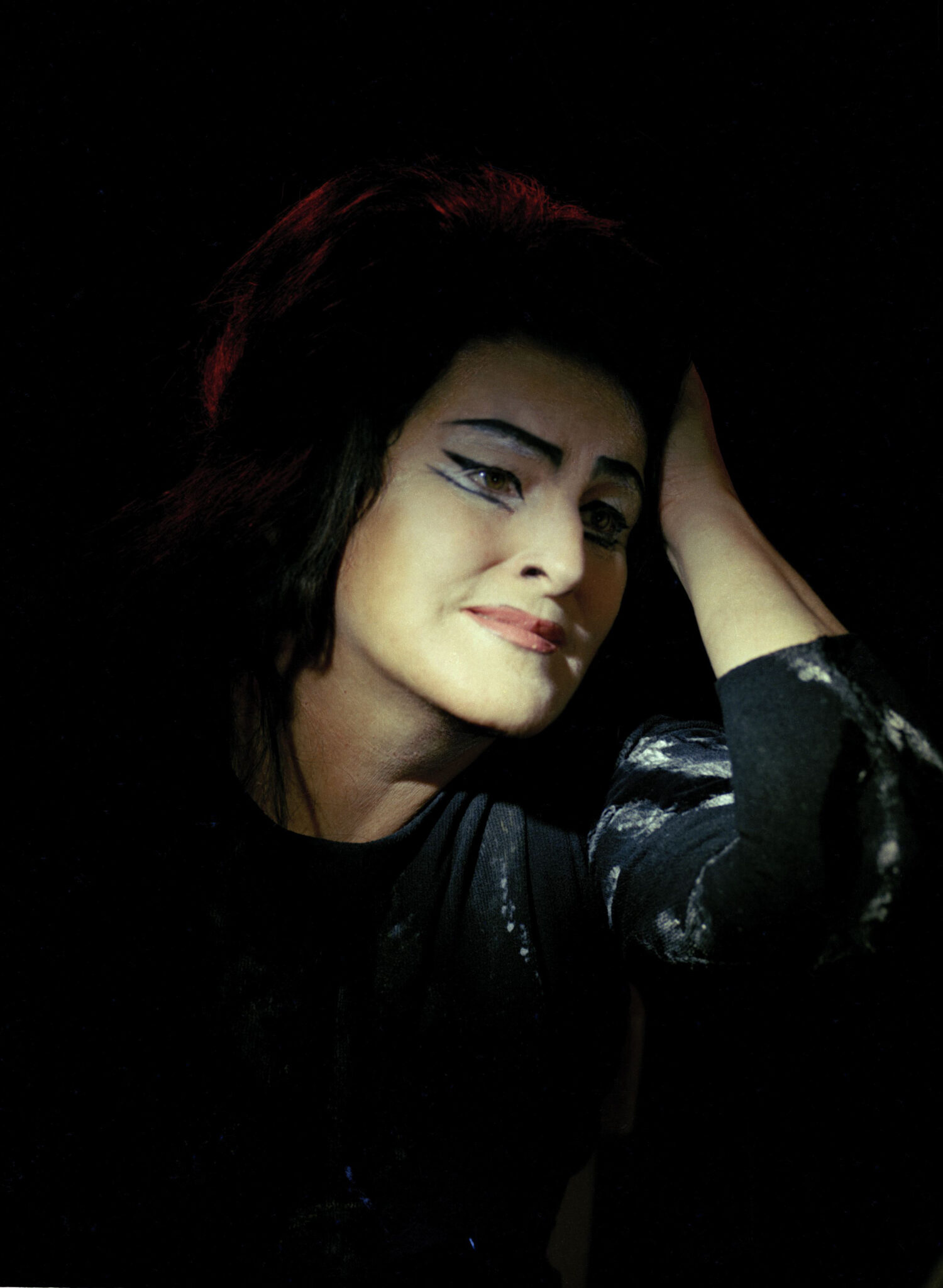 About Birgit - Birgit Nilsson